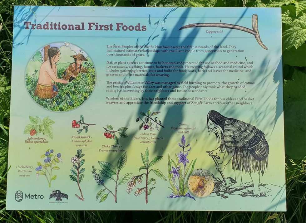 Indigenous Traditional Ecological Knowledge - Wisdom of the Elders, Inc.