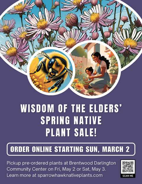 Spring Native Plant Sale with Wisdom of the Elders & Sparrowhawk Native ...